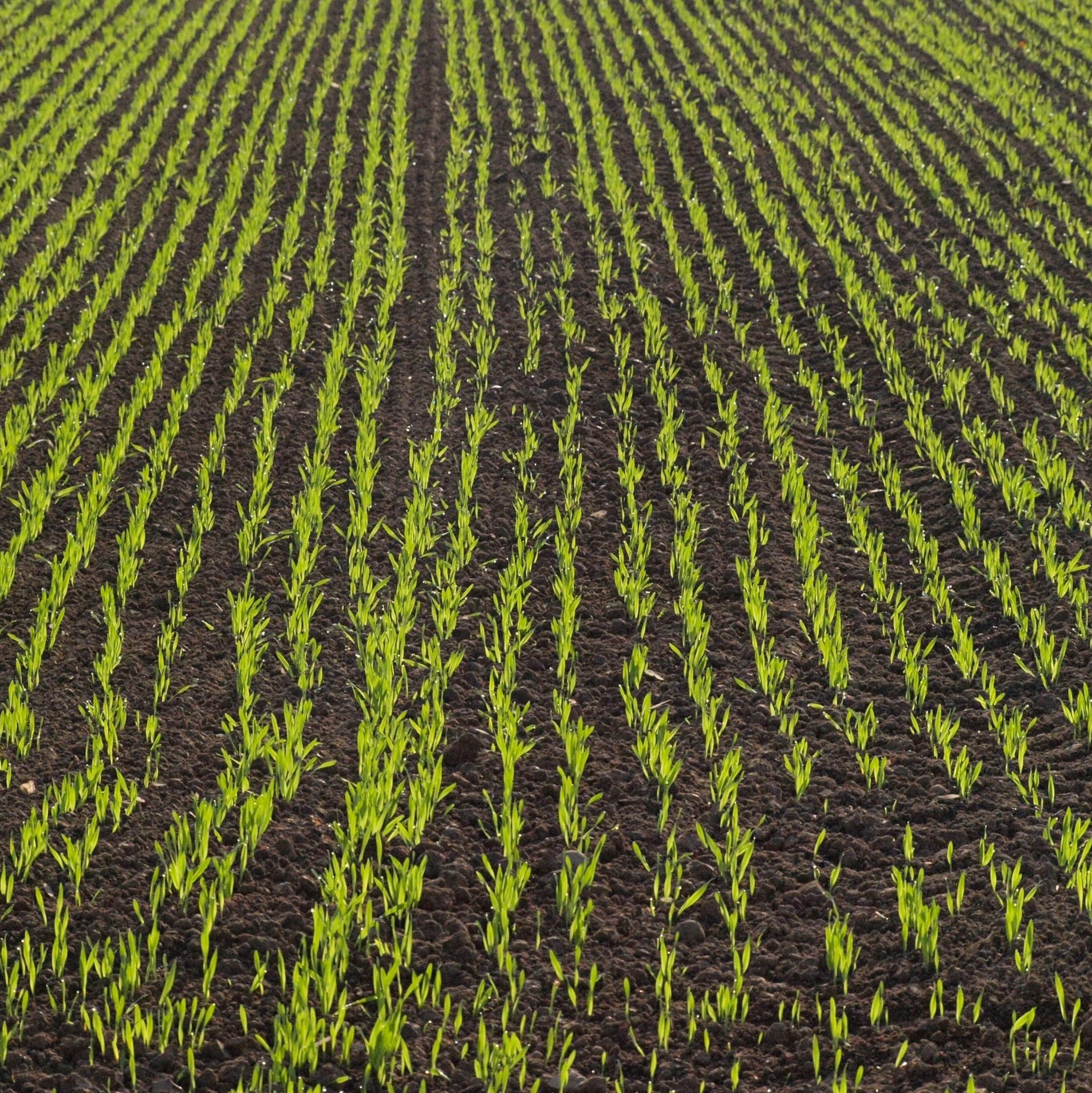 About Us - Precision Conservation Management