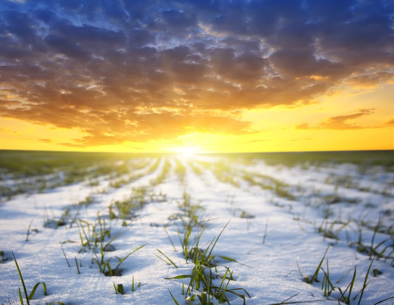 About Us - Precision Conservation Management