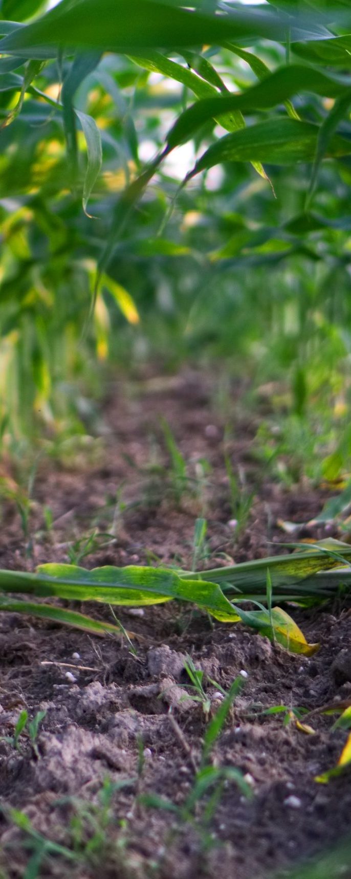 Farmer Services - Precision Conservation Management