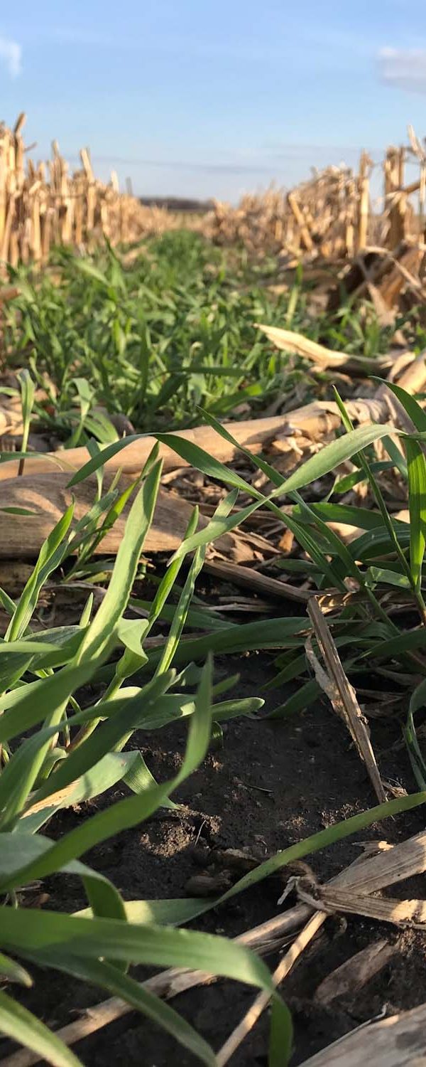 Partners – Precision Conservation Management